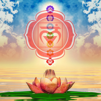 Tudo Sobre o Chakra da Raiz